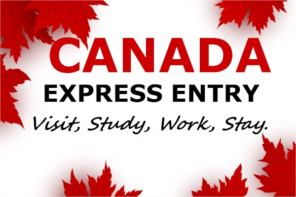 Canada Express Entry — Everything you need to know | StreetsofKante.com